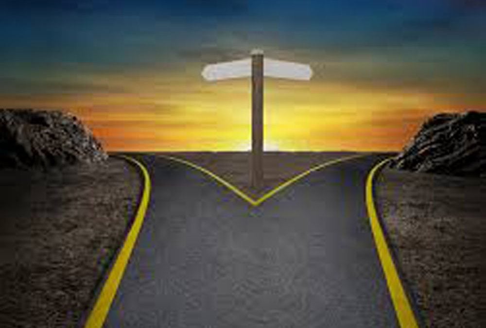 What Road Will You Take?