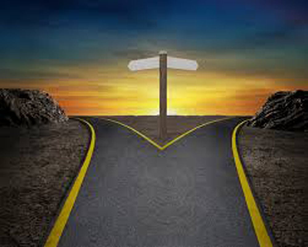 What Road Will You Take?